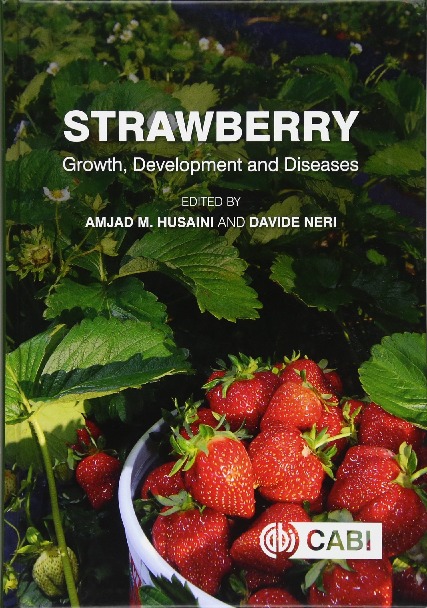 Strawberry: Growth, Development and Diseases – Agrobooks
